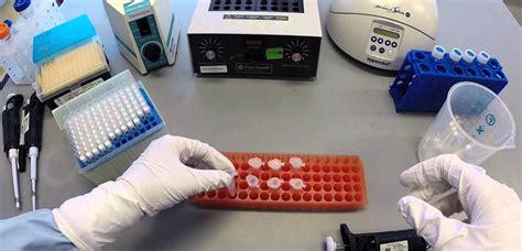 Rb Science Research Lab And Training