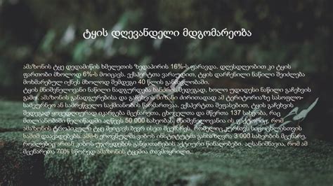 ამაზონის ტყე Ppt