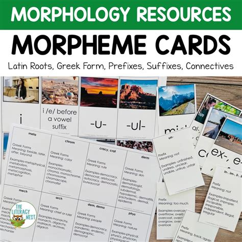 Morphology Cards For Prefixes Suffixes Roots Greek Forms The Literacy Nest
