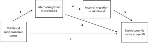 Conceptual Framework Socioeconomic Status Ses Is Transmitted From Download Scientific