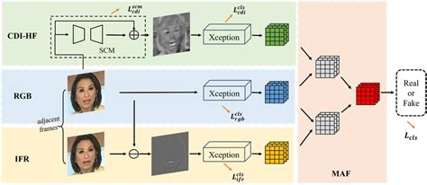 The Pipeline Of The Proposed Network The Cdi Hf Branch Rgb Branch Download Scientific