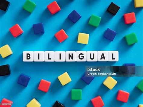 이중 언어 교육 개념입니다 파란색 배경에 이중 언어라는 단어가 있는 다채로운 큐브 이중언어에 대한 스톡 사진 및 기타 이미지 이중언어 교실 0명 Istock