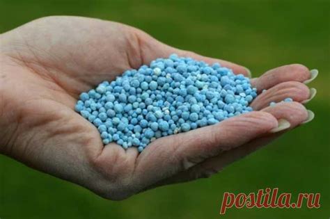 Какие удобрения нельзя смешивать Основные правила смешивания удобре сад и огород Постила