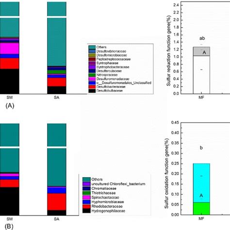 The Relative Abundance Of Sulfur Reducing Bacteria A And