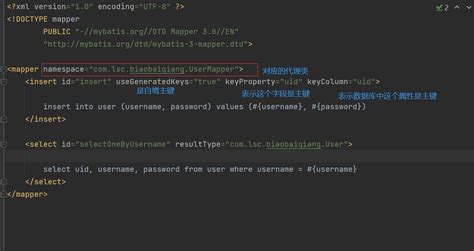 Mybatis练习之表白墙练习 Csdn博客