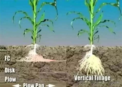 Key Soil Problems In Soil Cause How To Prevent