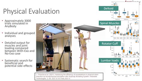 AnyBody肌肉骨骼模型在辅助装置设计中的应用 知乎