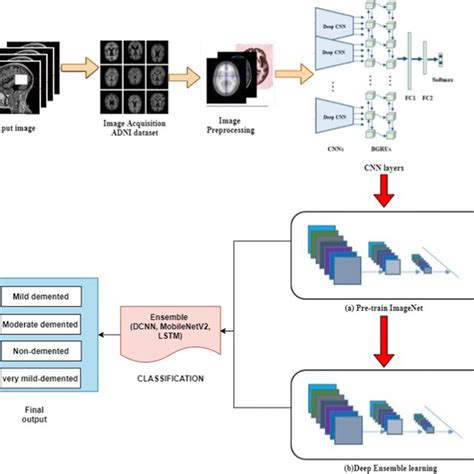 Architecture Diagram Of Multi Classification Of Alzheimers Disease Download Scientific Diagram