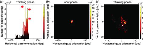 Example Of One Participants Gaze Distribution A Histogram Showing Download Scientific