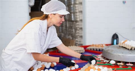 계란 등급 기계에서 일하는 경험이 풍부한 긍정적인 가금류 농장 노동자 크기별로 신선한 닭고기 달걀을 분류하고 판지 트레이에 포장 사진 Unsplash의 건강한 식생활 이미지