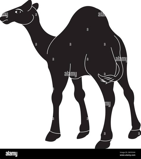 Camel Logo Vector Illustration Design Stock Vector Image Art Alamy