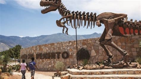 Museo Del Desierto Descubre La Vida Prehistórica De México En Coahuila