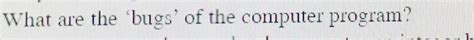 Solved What Are The Bugs Of The Computer Program Chegg