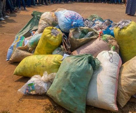 Kurwanya Ibiyobyabwenge Hangijwe Ibilo 14000 Byurumogi Byafatiwe Mu Karere Ka Rusizi