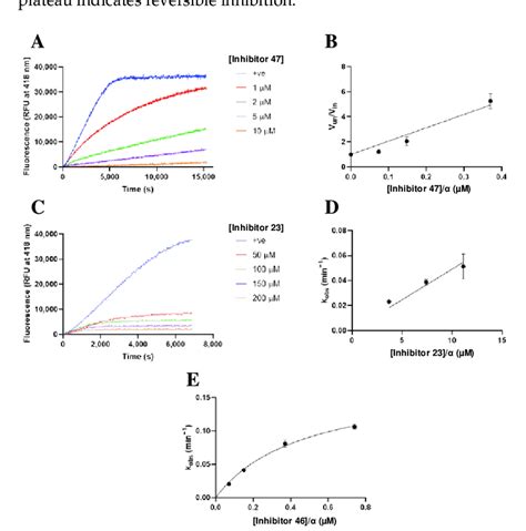 Representative Kinetic Traces And Data Fitting For Tgase Inhibition
