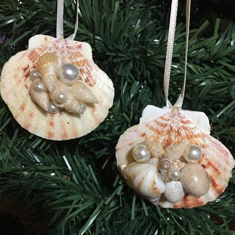 Calico Scallop Shell Etsy