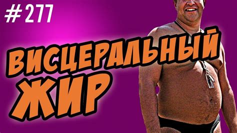 висцеральный жир. как ,зачем и что это - YouTube