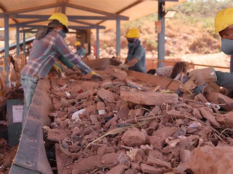Ca Ambas Df Martins Loca Es R Pido Seguro E Sustent Vel