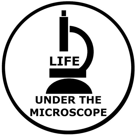 Life Under The Microscope Youtube