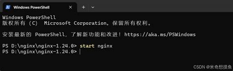 Windows下nginx花生壳配置（多站点使用）nginxwindows默认访问indexhtml Csdn博客
