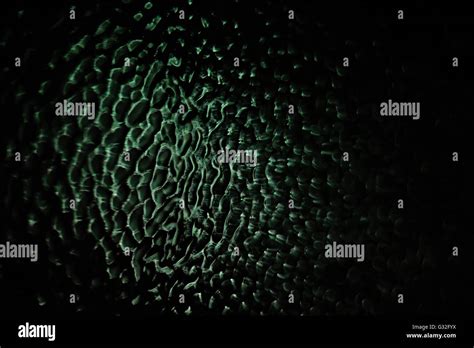 glossy glass texture and luxury background Stock Photo - Alamy