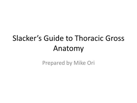 ppt slacker s guide to thoracic g ross anatomy powerpoint