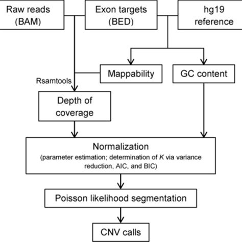 Pdf Codex A Normalization And Copy Number Variation Detection Method