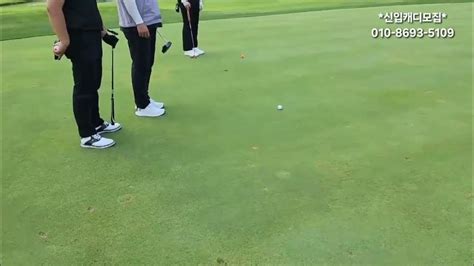 캐디교육그린플레이신입캐디신입캐디모집신입캐디문의골프골프캐디골프카트 Youtube