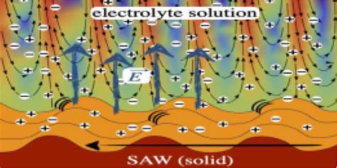 Ion Dynamics And Resonance In An Electrical Double Layer Undergoing Periodic Excitation By A
