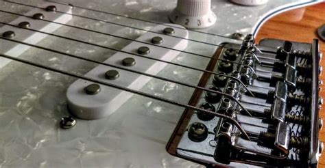 Types Of Guitar Pickups Explained Electric Acoustic And Bass Zing