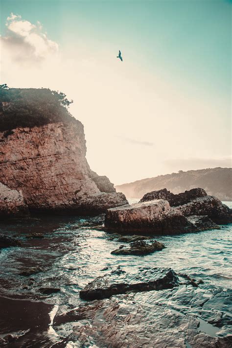 Transparent Sea Water · Free Stock Photo