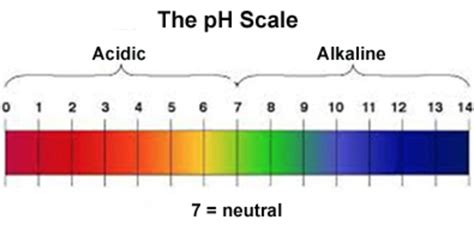 Ph Chemistry Class 11 Ionic Equilibrium