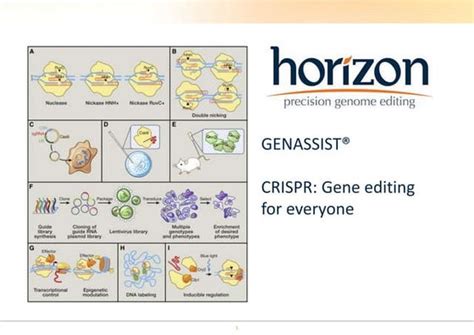 Crispr Cas9 And Mouse Models Ppt