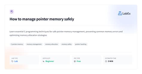 How To Manage Pointer Memory Safely Labex