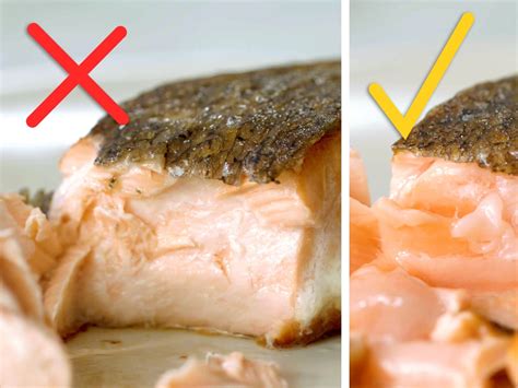 How Do You Know When Salmon Is Bad Captions Beautiful