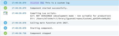 Custom Logging Iguana X Documentation