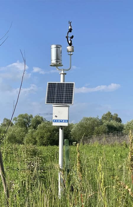 what is automatic weather station renke