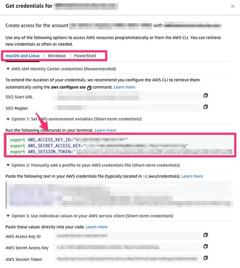 【aws Cli】wsl2のlinuxでブラウザが使えない状況でaws Ssoで認証して実行 Suer Til