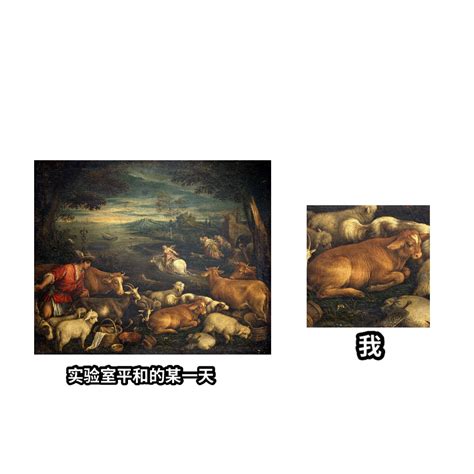 实验室平和的某一天我 网友制作的meme梗图