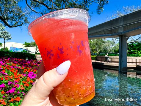 REVIEW WAIT Did We Just Find Crumbl Cookie DUPES At EPCOT Disney