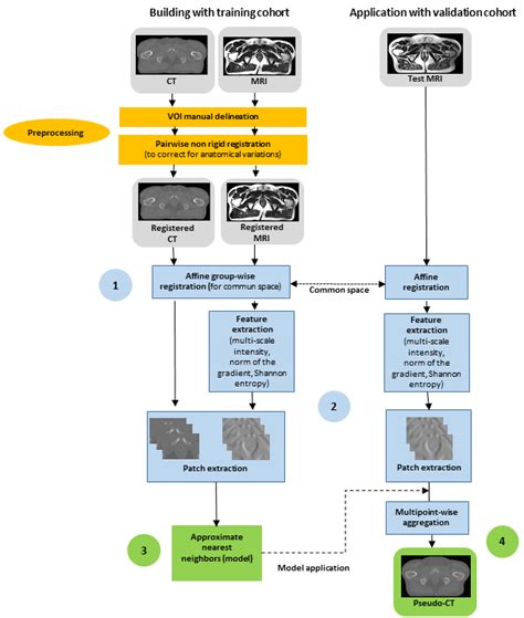 Patch Based Method Workflow For Pseudo Ct Generation The Building Part