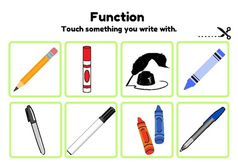 Feature Function And Class Lrffc Sorting And Assessment Bundle
