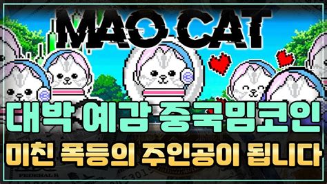 예상 기대 수익률 8000 중국 밈코인 곧 대박납니다 Youtube