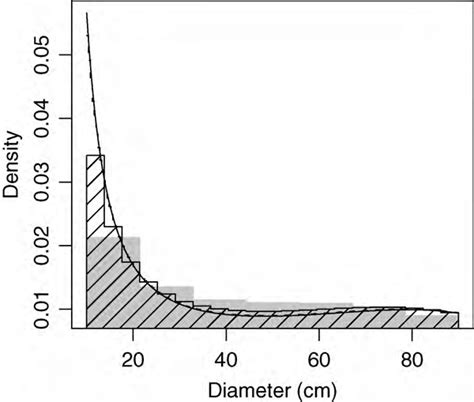 Asymptotic Diameter Distribution Predicted By The Continuous Model