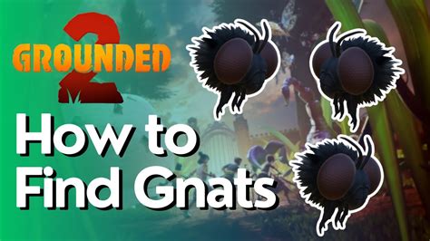 Grounded 2 Gnat Locations And How To Get Gnat Fuzz Youtube