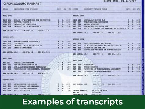 A Complete Guide On Academic Transcript With Examples
