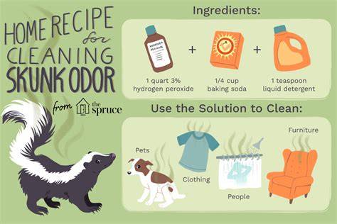 Get Rid Of Skunk Odor What Really Works