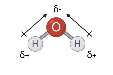 Are Molecules Of The Following Compounds Polar Or Nonpolar Polar