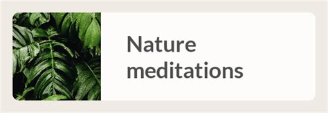 Compose의 기본 레이아웃 Android Developers