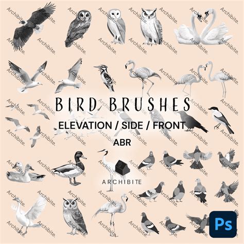 Photoshop Brushes Autumn Trees Elevation